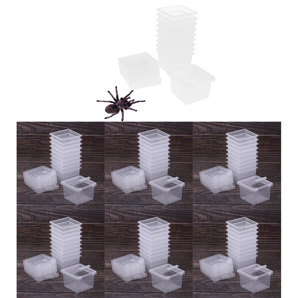 60 Teile/satz Insekt Reptil Spinne Terrarien Zucht... – Vicedeal