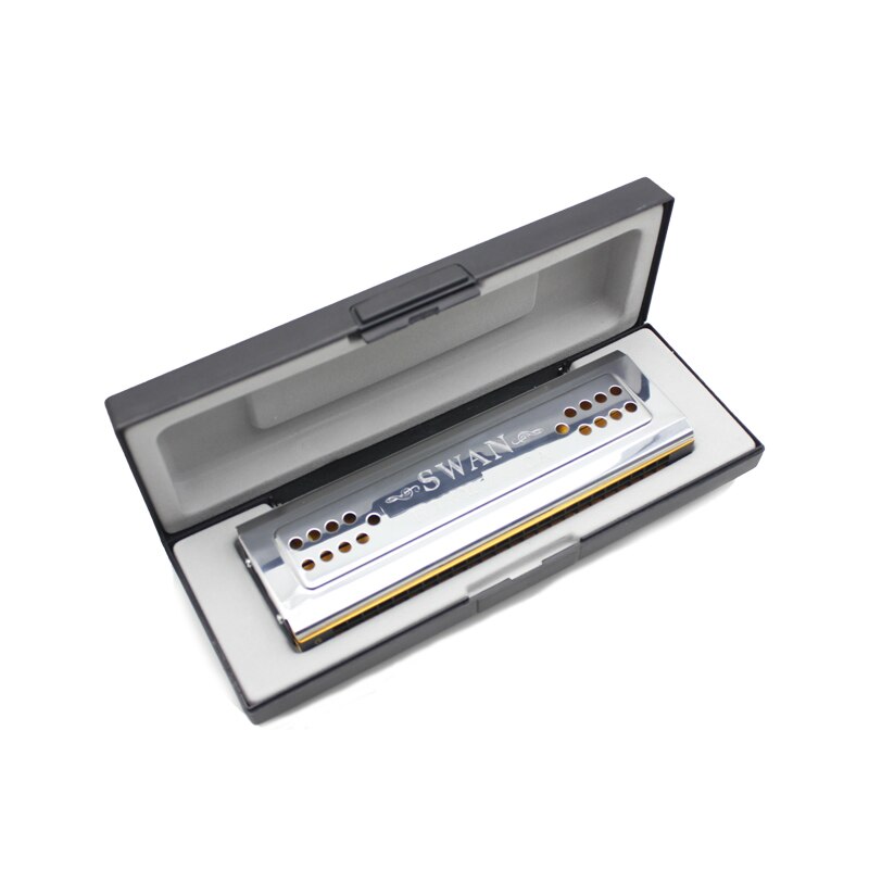 Swan – harmonica double face à 24 trous, harmonica... – Grandado