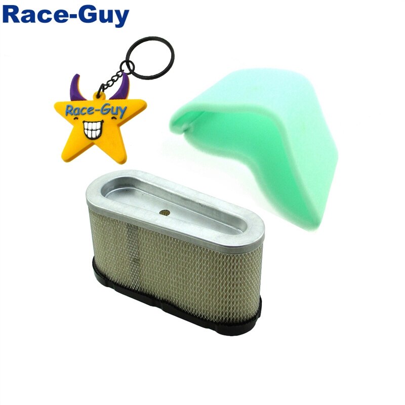 Luftfilter Für Briggs & Stratton 4139 493909 49689... – Grandado