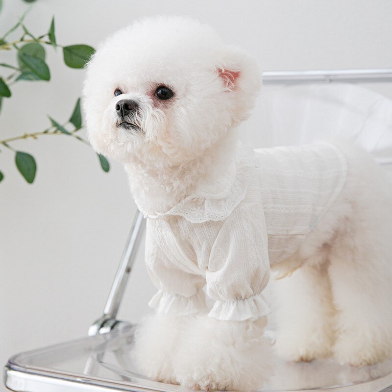 Cute Puff Sleeves Summer Pet Shirts Lace Princess ... – Vicedeal