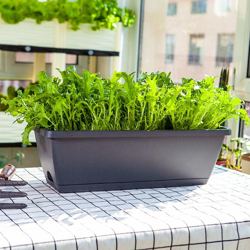 2 pakker selvvandende plantageejer rektangulære pl... – Vicedeal