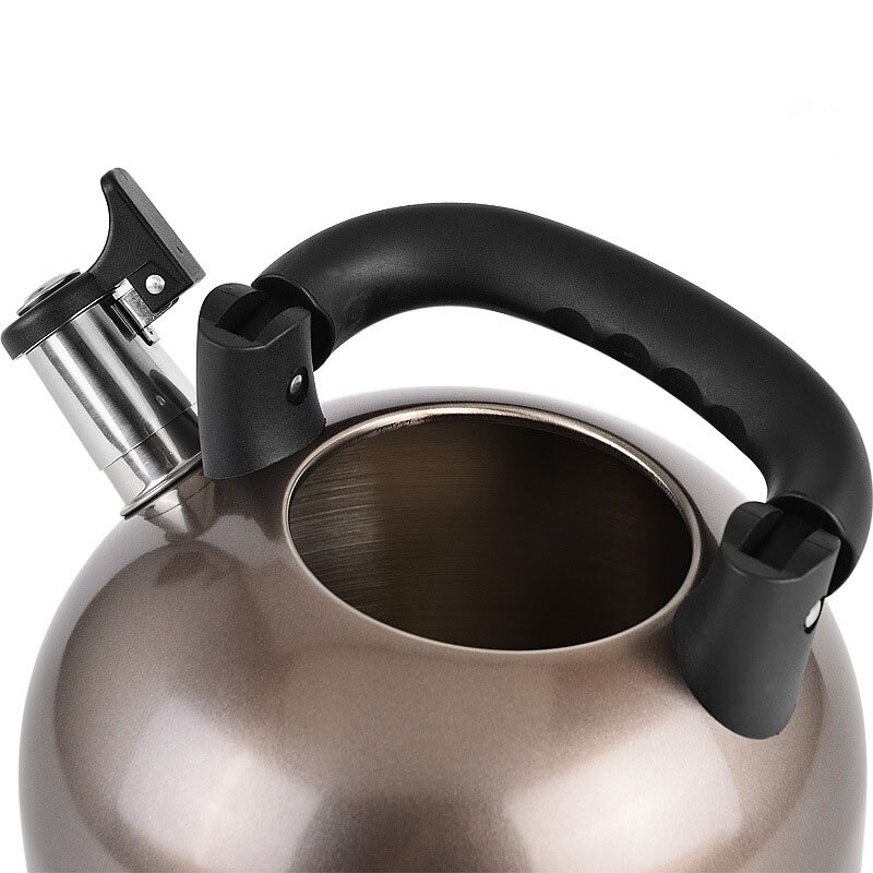 Stainless Steel Kettle 4L/5L/6L Kettle Tea Coffee ... – Vicedeal