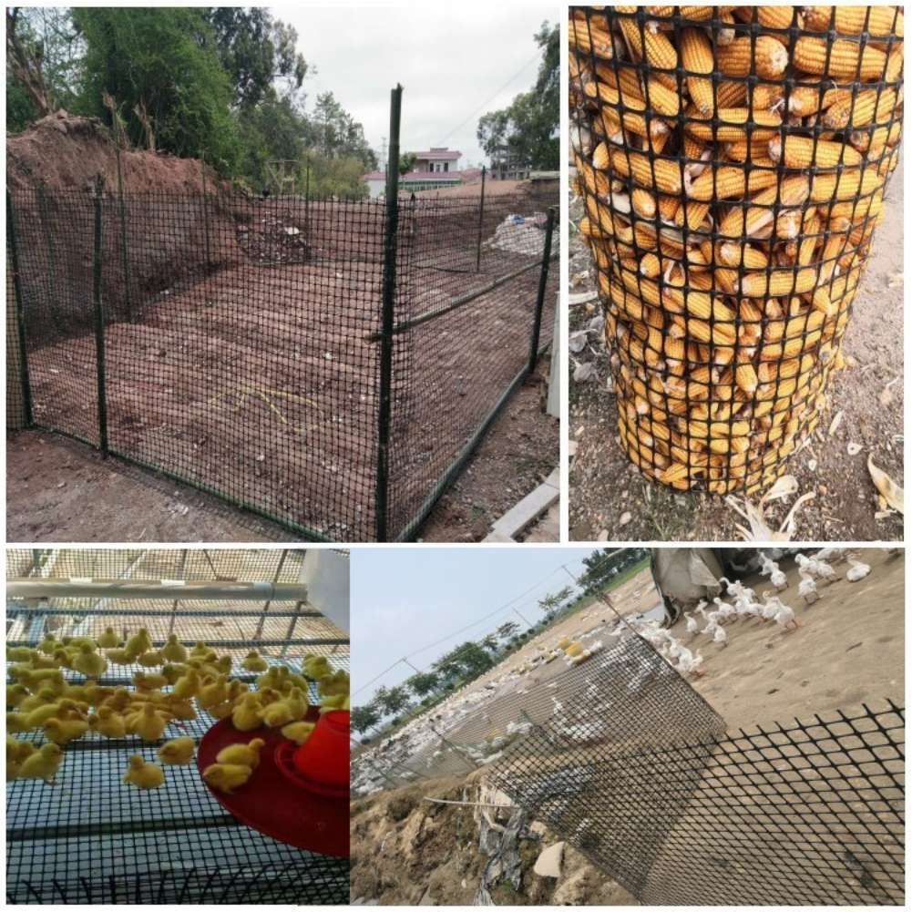 Black Plastic Leakproof Mesh Net Garden Safety Net... – Grandado