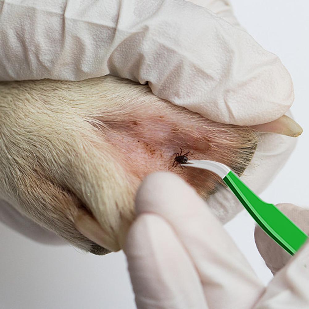 2 STUKS Tick Removal Tool Rvs Professionele Tick V... – Vicedeal