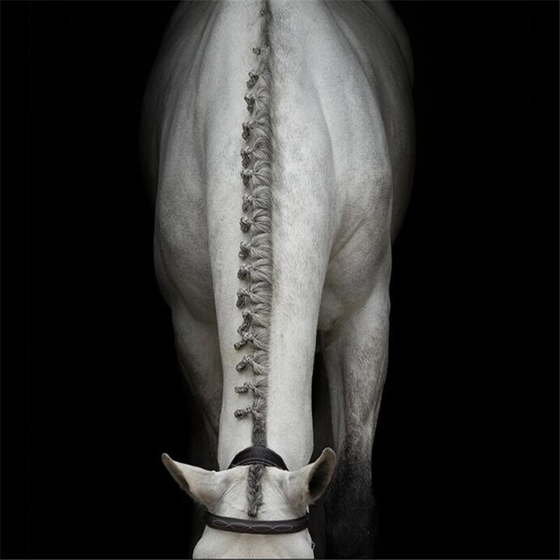 Cavassion Horse Stable Tools Mane Rubber Band Rubb... – Grandado