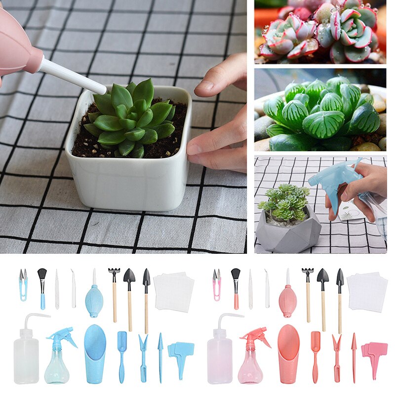 16pcs/set Succulent Planting Tool Combination Set ... – Grandado