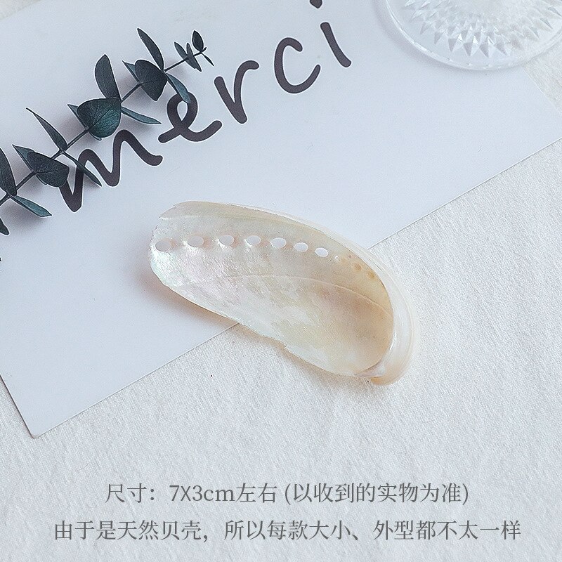 Shell decoration photography accessories photograp... – Grandado