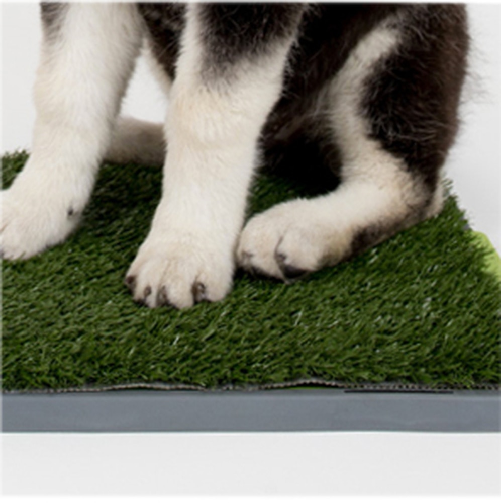 3-layer Outdoor Indoor Potty Training Tray Large D... – Grandado