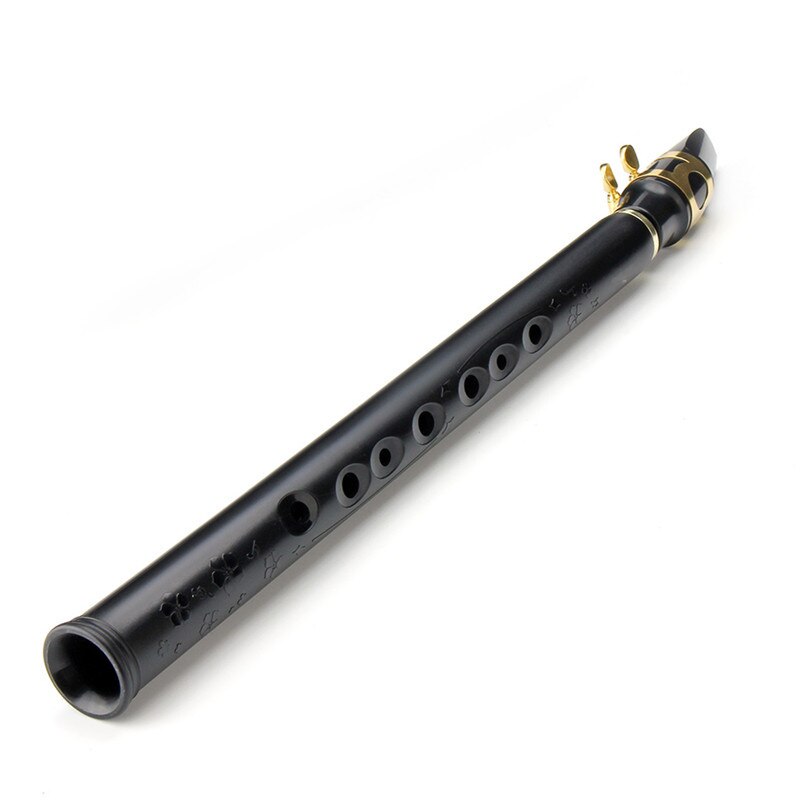 MINI Little Sax 8 Holes Pocket Saxophone Key-Bb Sa... – Grandado