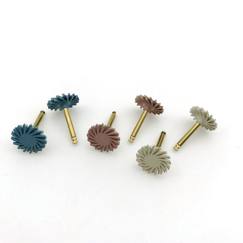 6Pcs Dental Composite Resin Polishing Disc Kit Dia... – Grandado