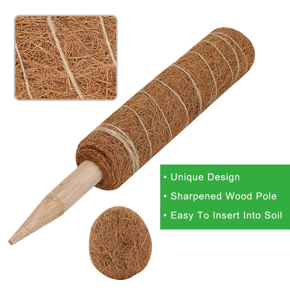 Palo de palma de coco seguro para jardinería con t... – Grandado