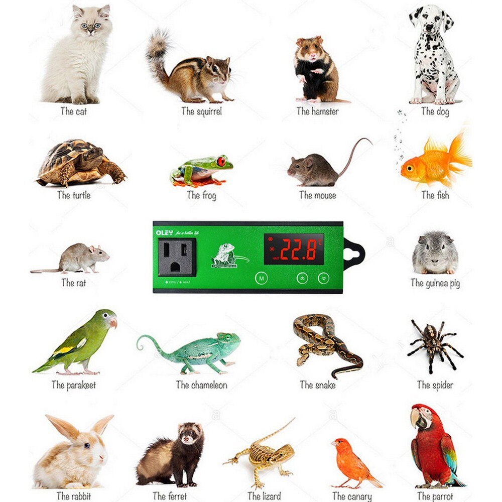 Digital Reptile Thermostat With Timer Day Night On Grandado
