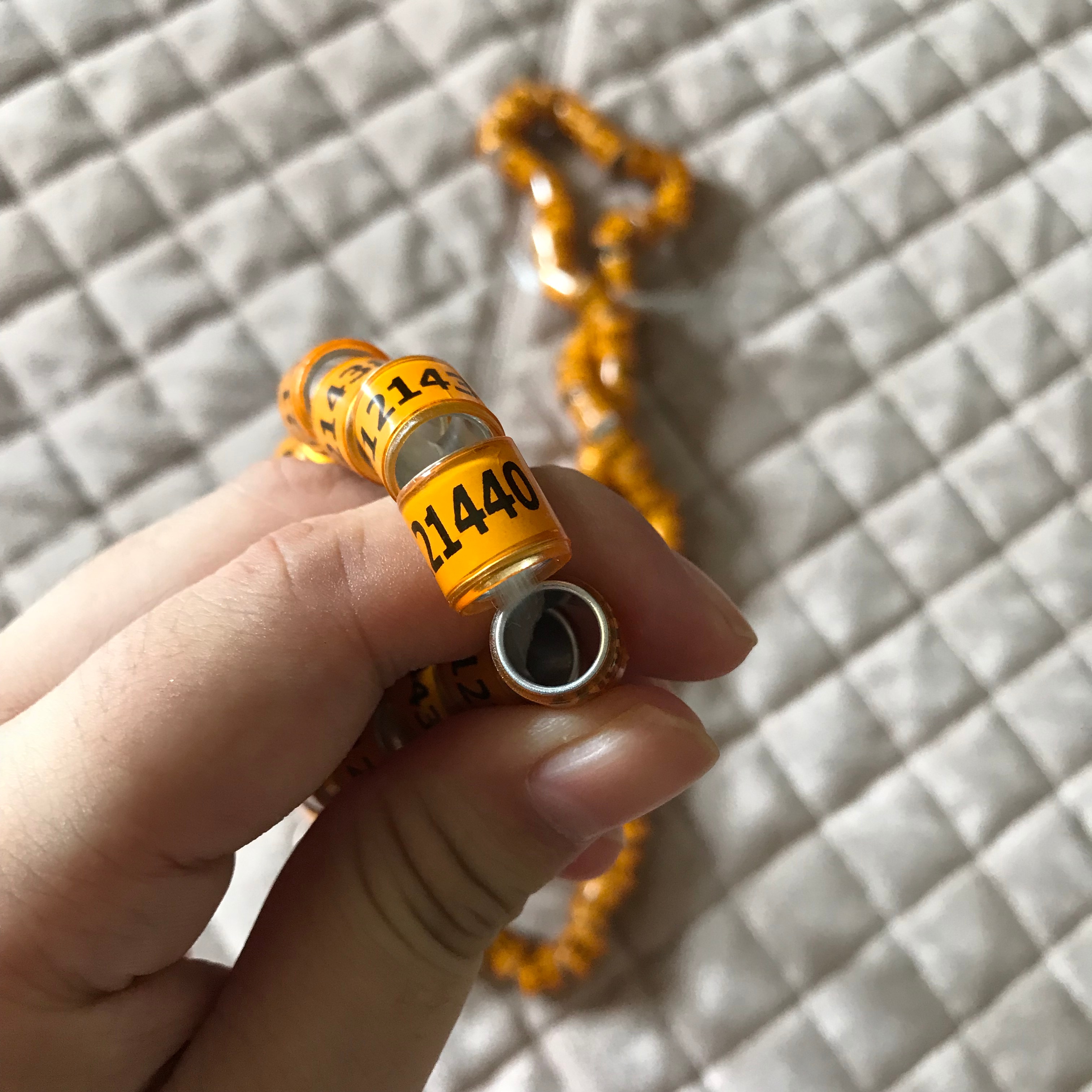 Orange pigeon rings bird ring 200pcs/Lots taiwan g... – Grandado