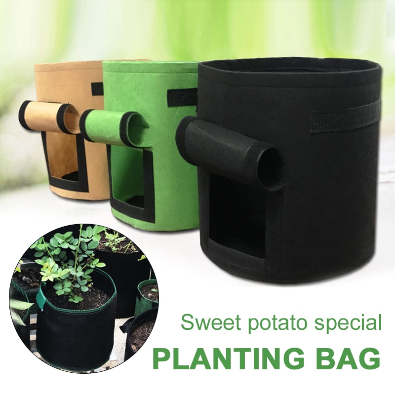 Spring Storage Container Vegetable Tomato Planting... – Vicedeal