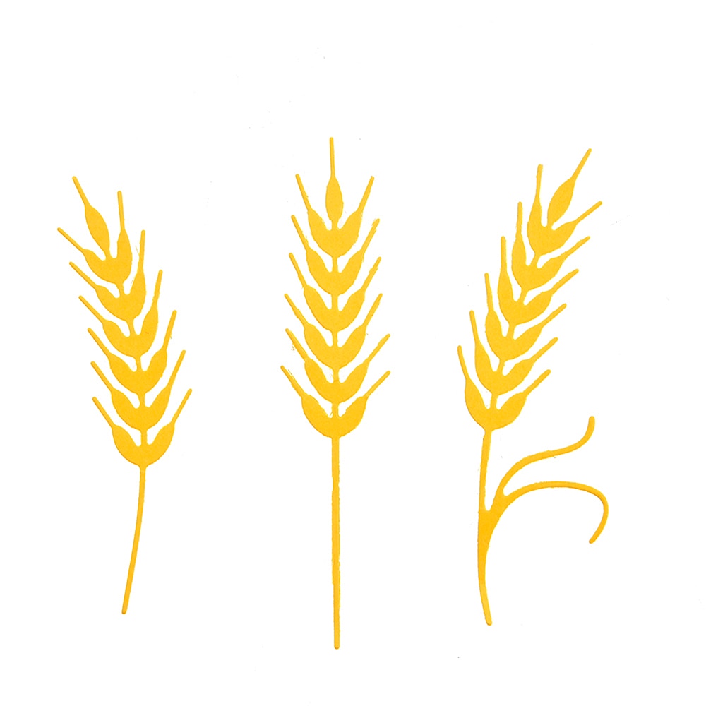 NICEYARD 3pcs Straw Wheat Plant Dies Album Paper A... – Grandado