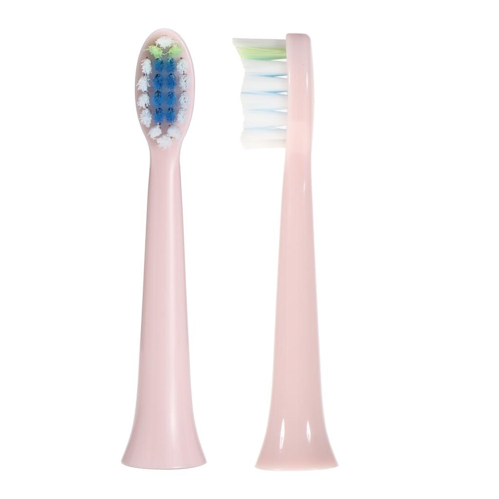 2 Pcs Premium Sonic Toothbrush Heads Adults For Ro... – Grandado
