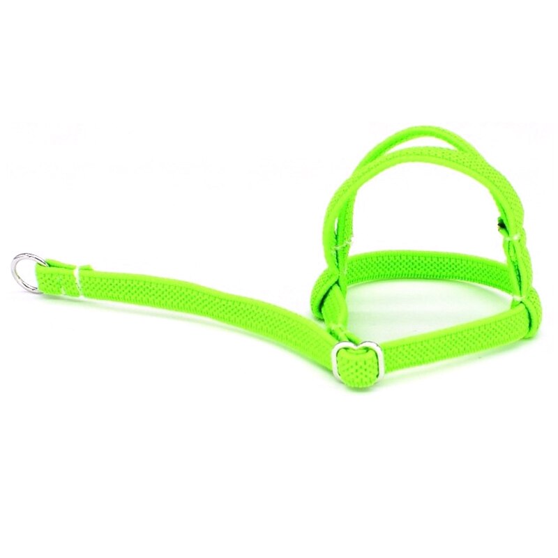 Pet Parrot Bird Harness Belt Fly Rope Belt Outdoor... – Vicedeal