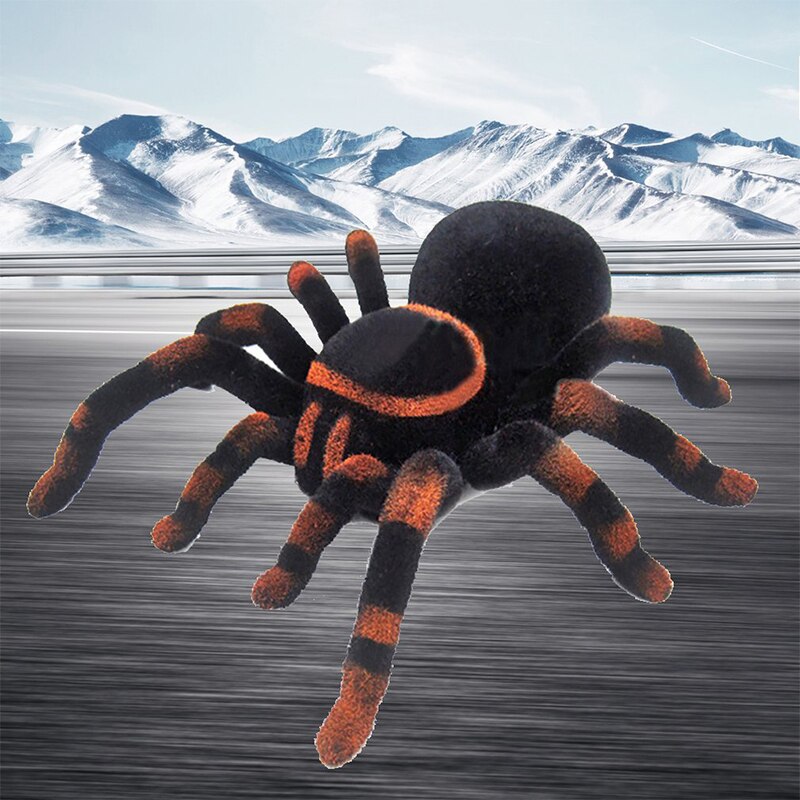 Big Size Toy Remote Control Simulation tarantula E... – Vicedeal