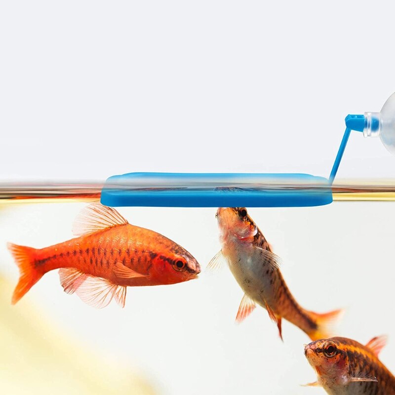 6-Pack Fish Feeder Supplies Feeding Ring Aquarium ... – Grandado