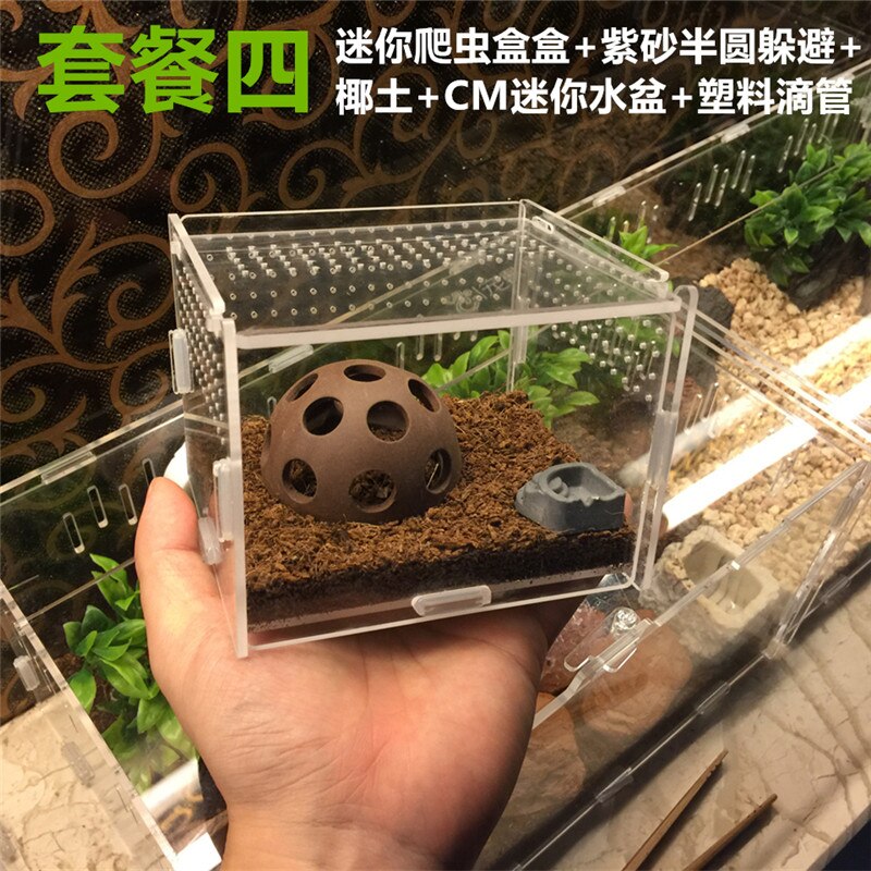 Small Size Reptile Tank Insect Spiders Tortoise Li... – Grandado