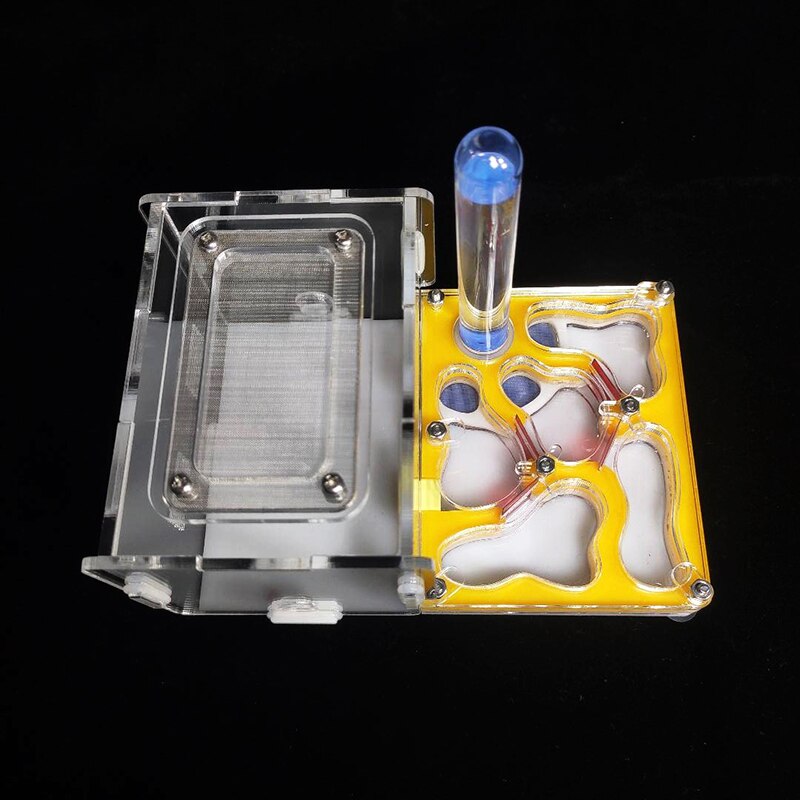Yellow Ant Nest Acrylic Ant Villa Mini Ant Farm In... – Grandado