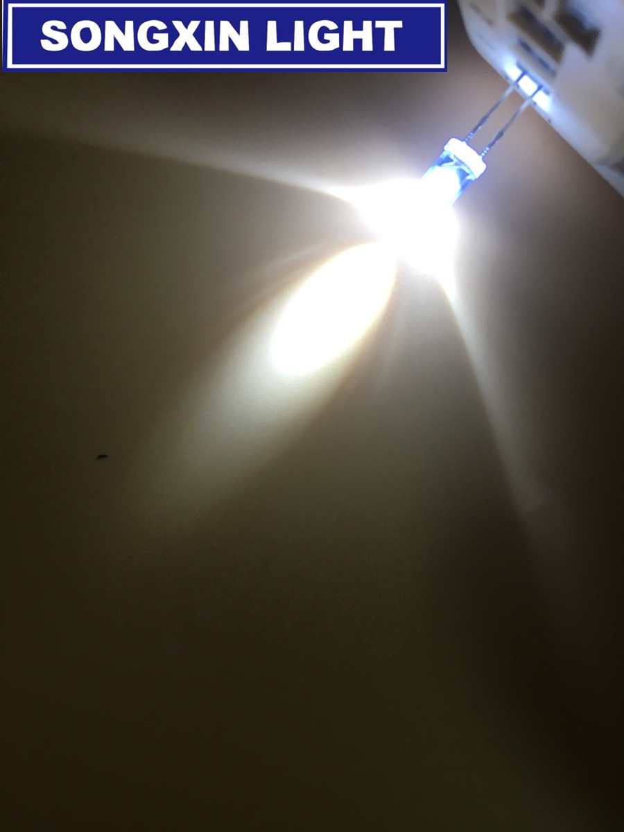 1000PCS 5mm LED Diodes Flashing White Clear Blinki... – Grandado