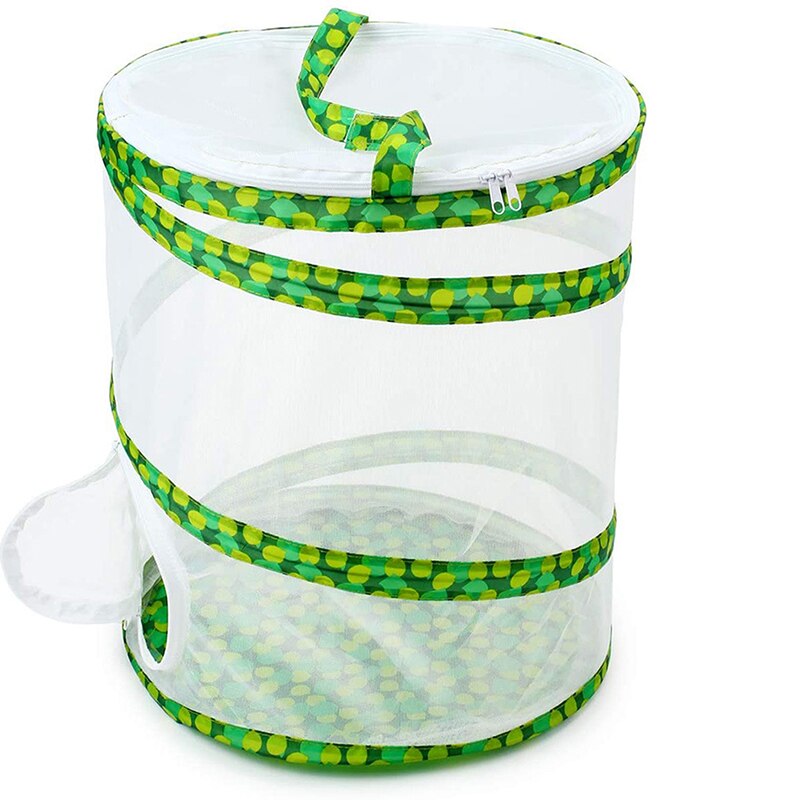 Green Collapsible Insect Cage Mesh Insect Habitat ... – Grandado