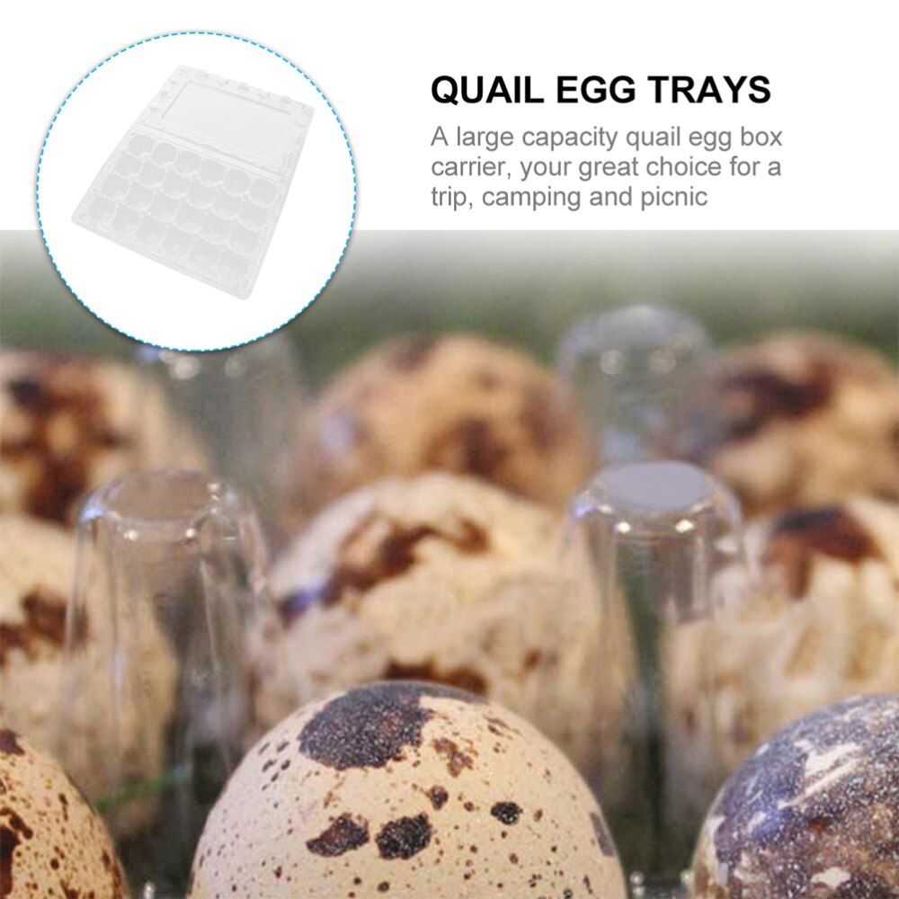 24PCS Quail Egg Carton Transparent Quail Eggs Stor... – Vicedeal