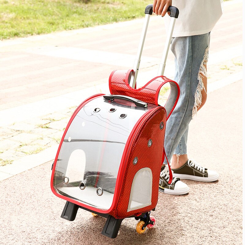 The capsule bag carrying pet pet packaging Dog Cat... – Grandado