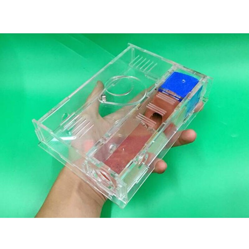 Native Snail House Ant Nest Acrylic Ant Castle Act... – Grandado