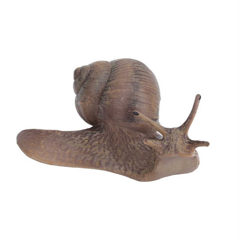 Simulation insect model children's cognitive scien... – Grandado