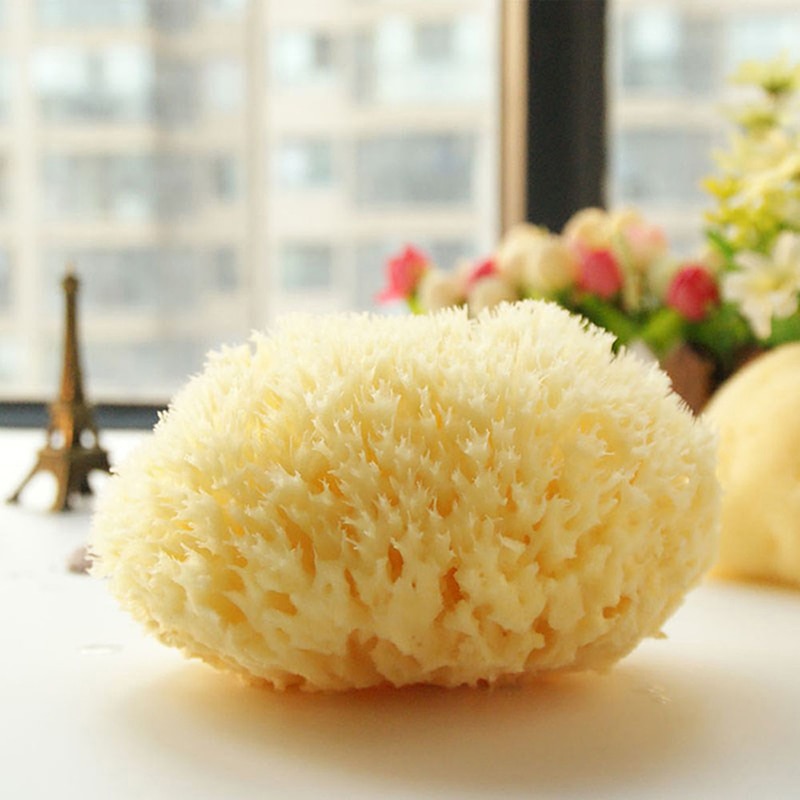 Silk Sponge Yellow Size 1.5-2 Natural Seaweed Mime... – Grandado