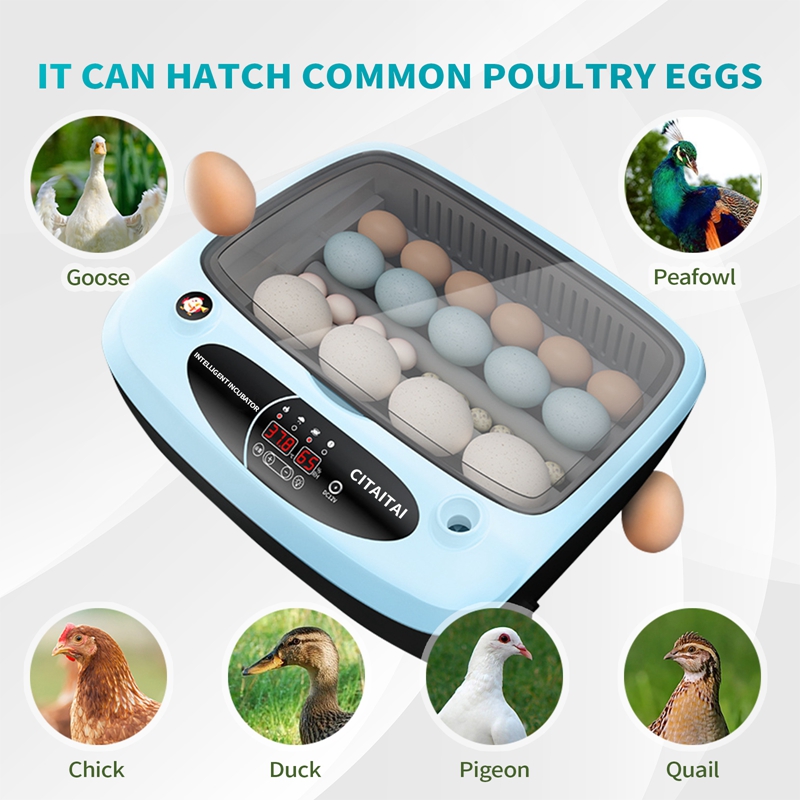 15 Egg Incubator Fully Automatic Hatching Machine ... – Grandado