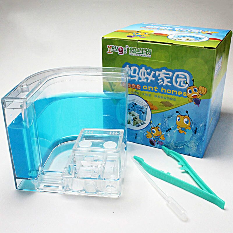 Ant Farm Acrylic Insect test tube Moisture big spa... – Grandado