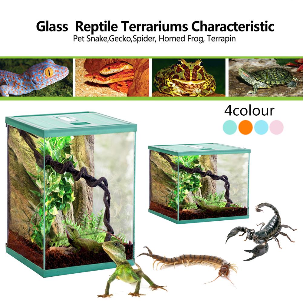Reptile Glass Terrarium Amphibians Feeding Box Tra... – Vicedeal