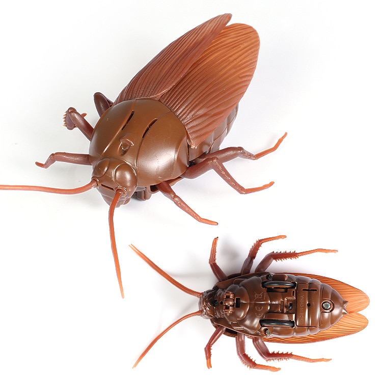 Simulation Insect Cockroach Toys anti-stress For A... – Grandado