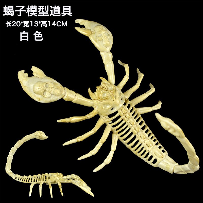 Halloween Trick Funny Animal Model Skeletal Skelet... – Grandado