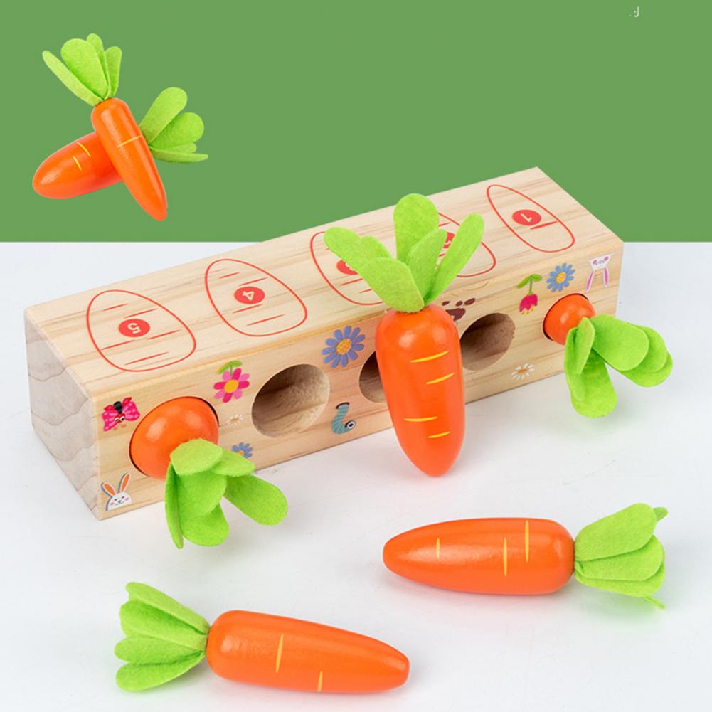Cartoon Carrot Math Learning Children Early Educat... – Vicedeal