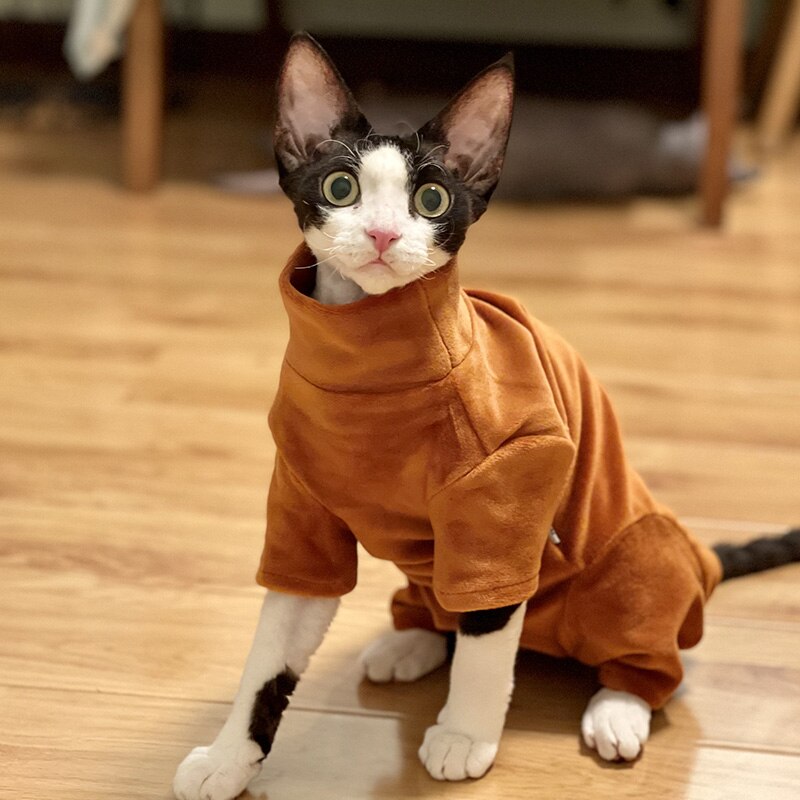 STOCK CLEAN Sphynx Cat Clothes Thick Baby Soft Cot... – Grandado