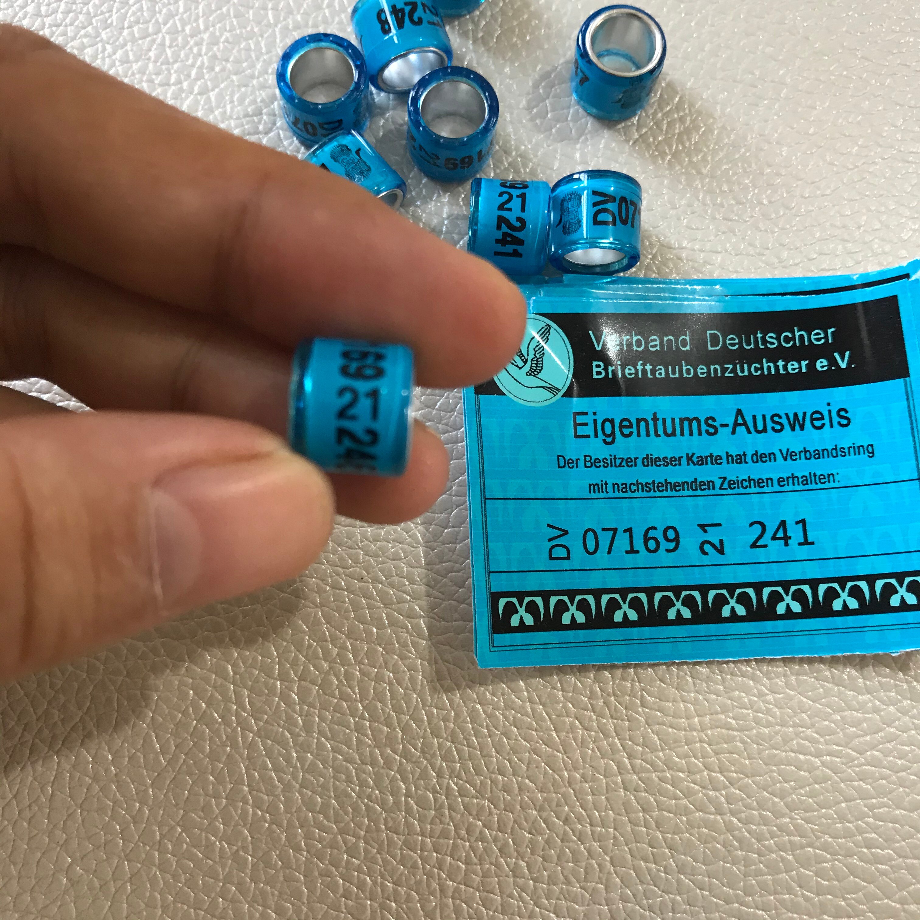 DV Pigeon foot ring with cards Bird RINGs 10pcs wi... – Grandado