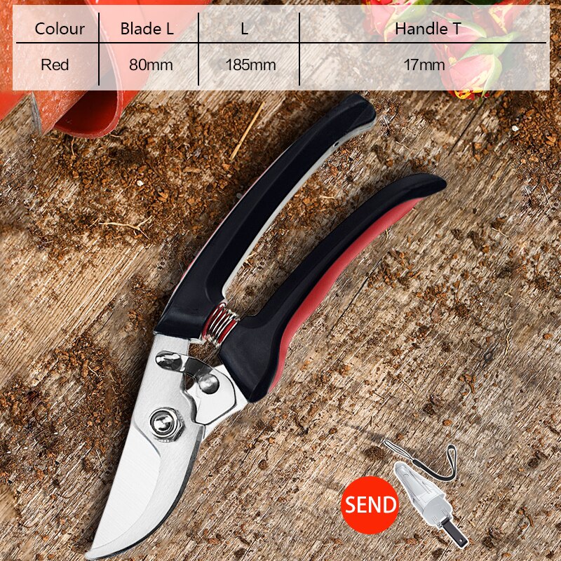AI-ROAD Garden Pruning Shear Branch Pruner Scissor... – Grandado