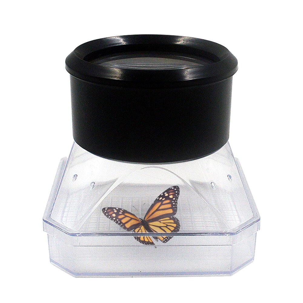 Square Insect Box Insect Observation Box Insect Tr... – Grandado