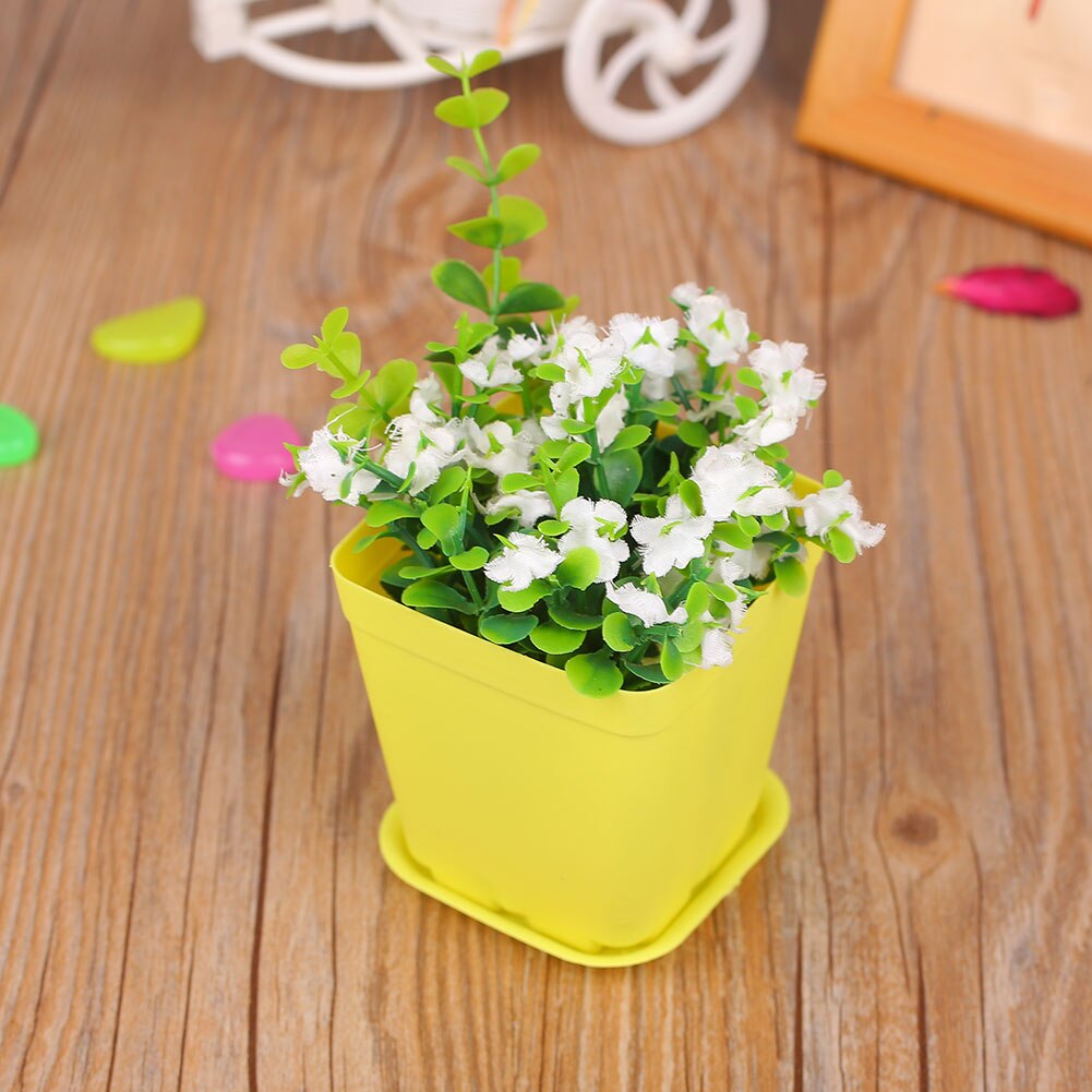 Colorful Flower Pots Multi-Meat Plant Dedicated Ba... – Vicedeal