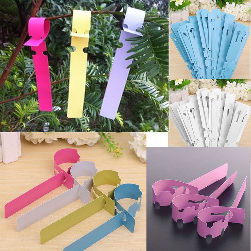 100pcs Plants Tags Nursery Garden Ring Label Pot M... – Grandado