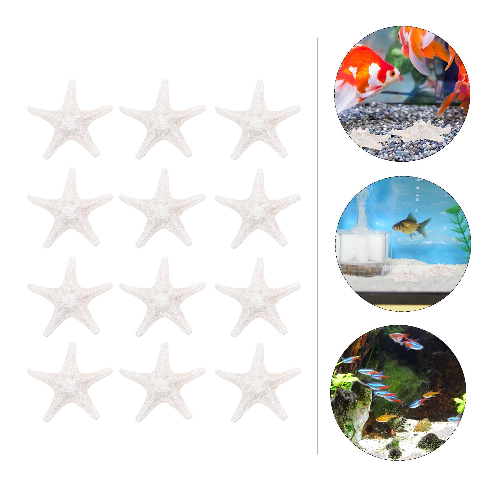 12Pcs Resin Sea Star Ornaments Sea Star Decor Medi... – Grandado