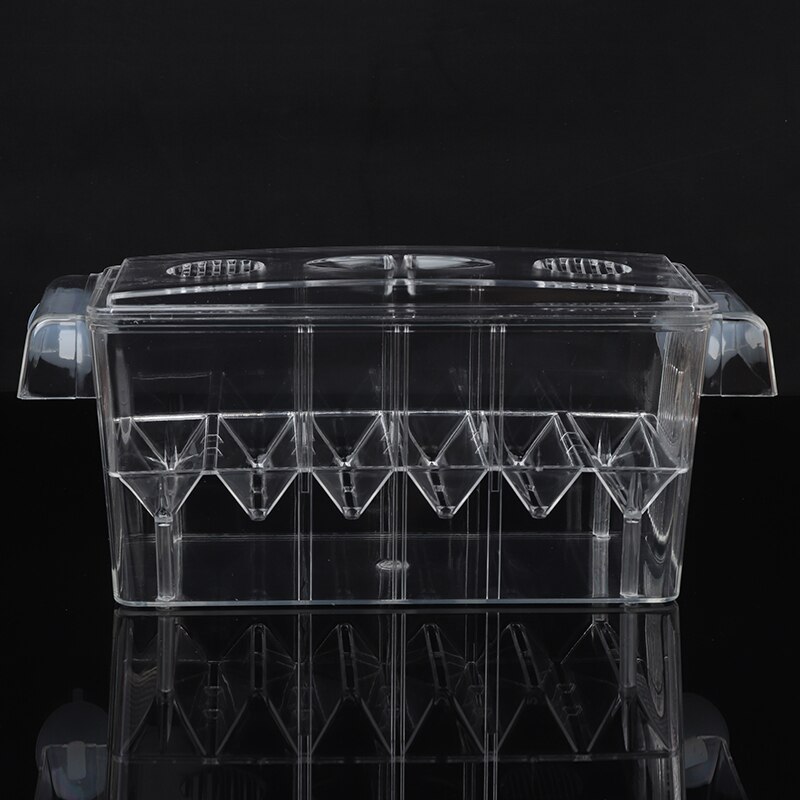 Aquarium Breeding Box Fry Tank Hatchery Baby Trap ... – Grandado
