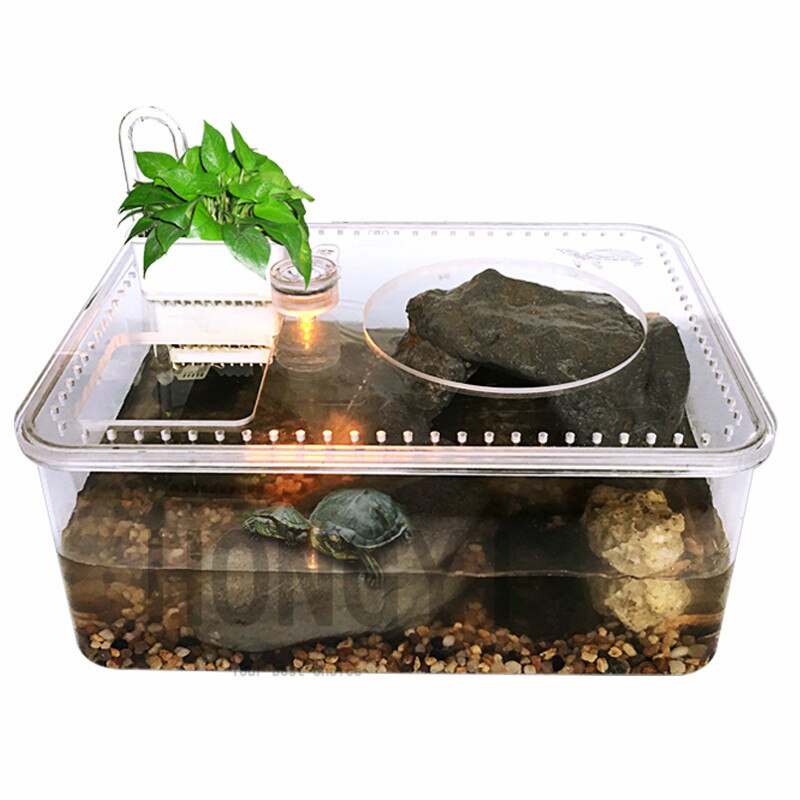 HONGYI 1 piece plastic transparent insect reptile ... – Vicedeal