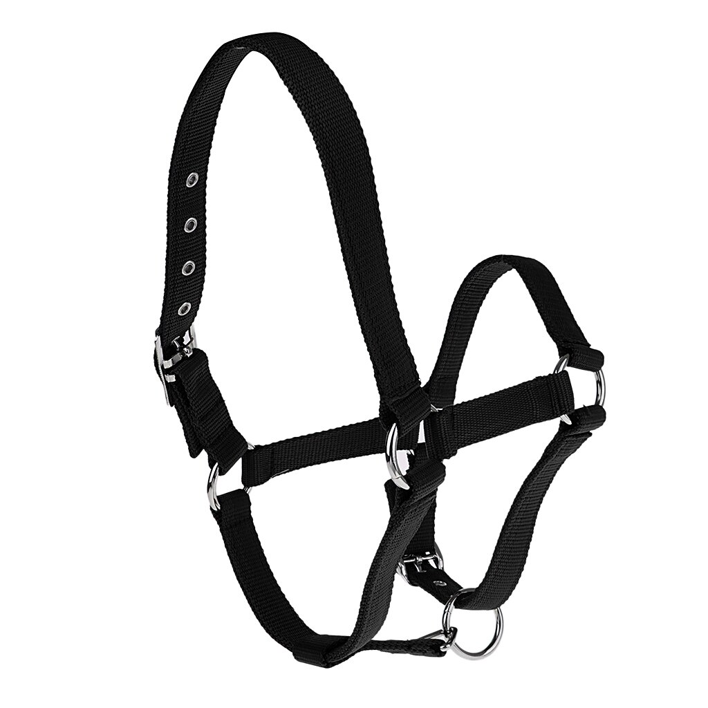 Adjustable Nylon Webbing Equestrian Western Horse ... – Vicedeal