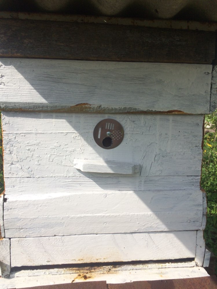 Hive Gate 10 Pcs Stainless Steel Bee Hive Door 6.8... – Grandado