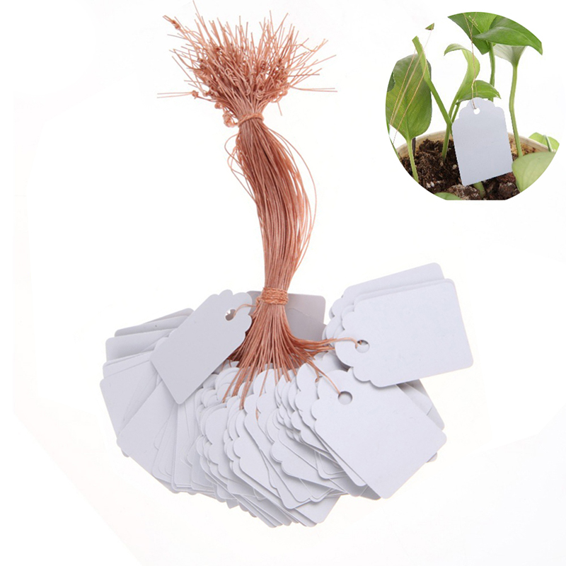 100 pcs White Plastic Tag Seedling Plant Growth Record Label Garden ...